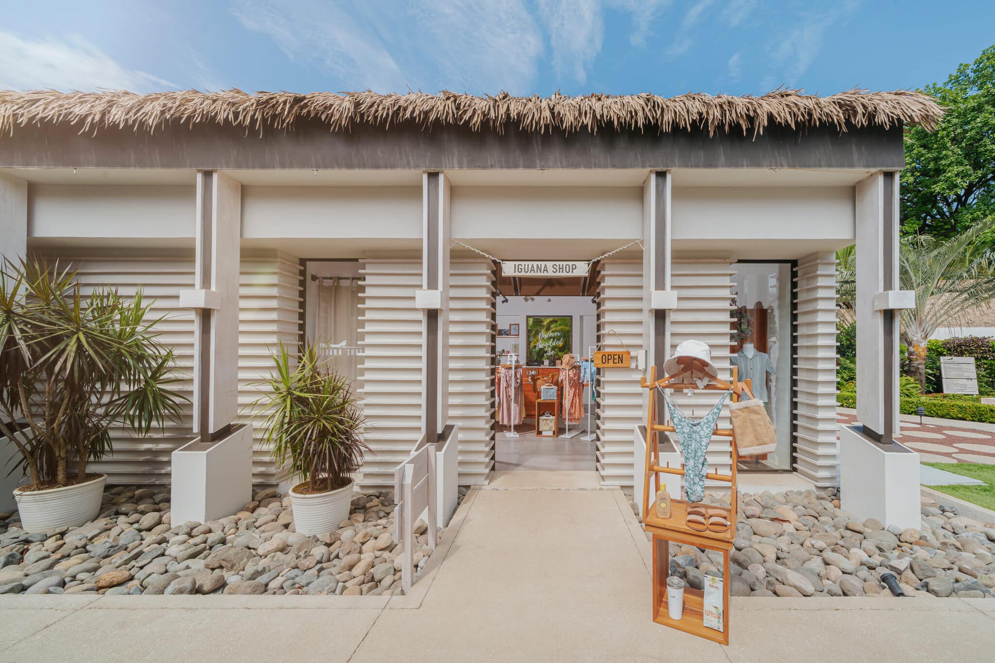 The Iguana Shop - Gilded Iguana