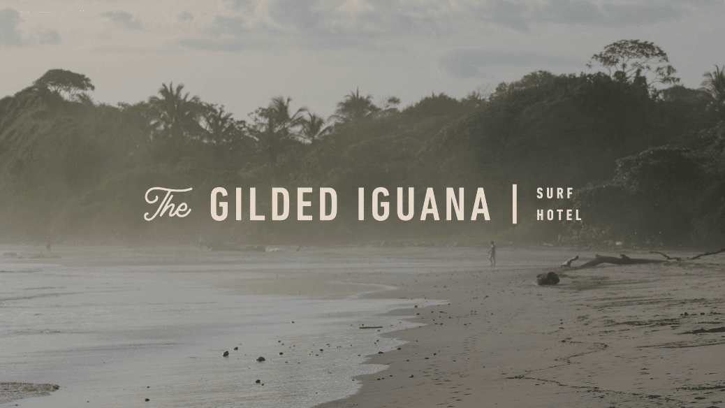 A New Look for A New Era - Gilded Iguana