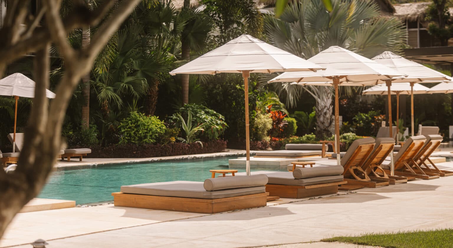 Press - Gilded Iguana