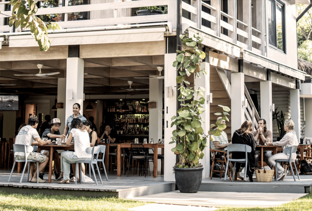 The Gilded Iguanas New Chapter - Gilded Iguana