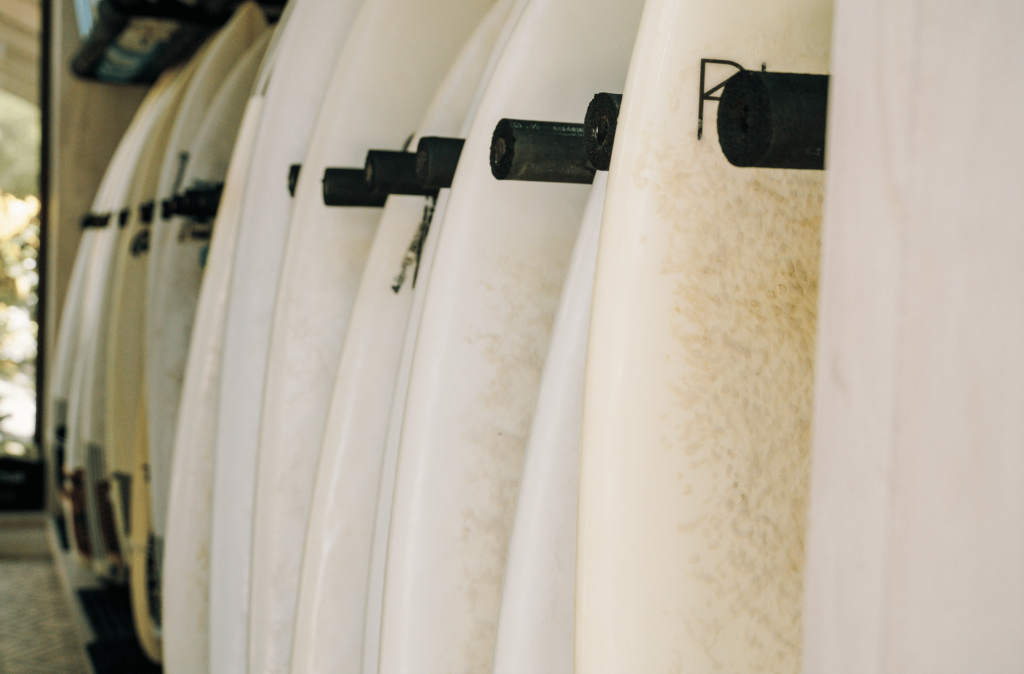 Custom Surfboards | Buy & Design Your Board | The Gilded Iguana