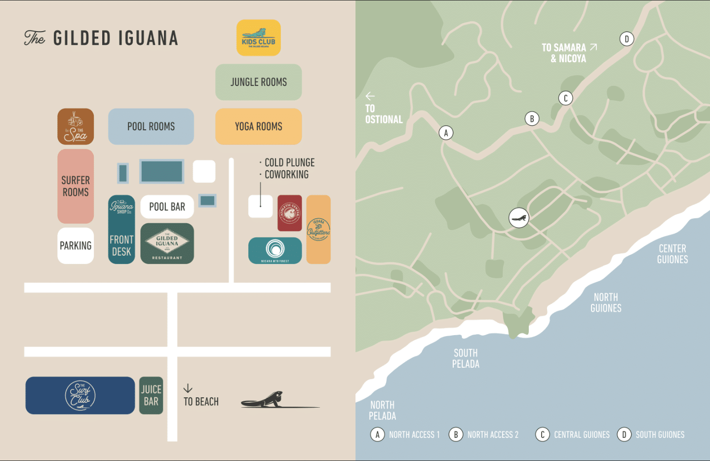 Private Transportation | Airport Transport | The Gilded Iguana